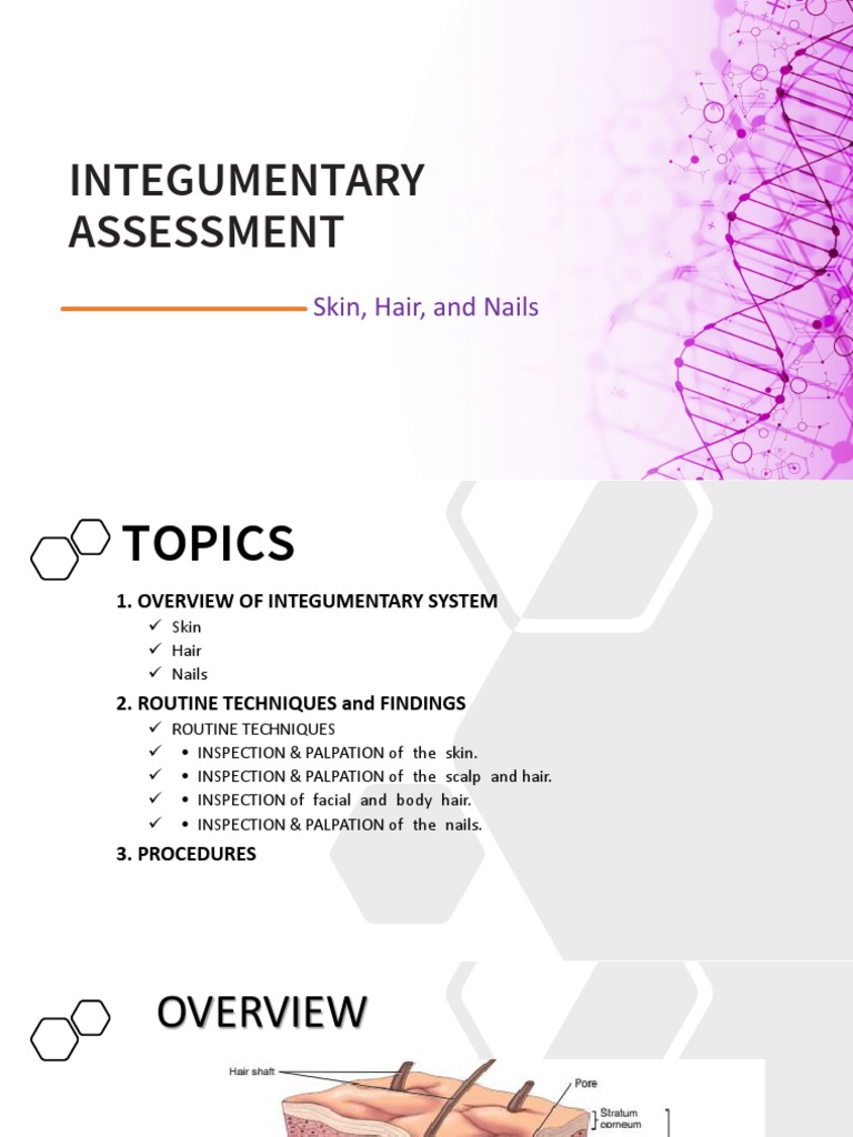 Integumentary Assessment: Skin, Hair, and Nails | PDF | Hair ...
