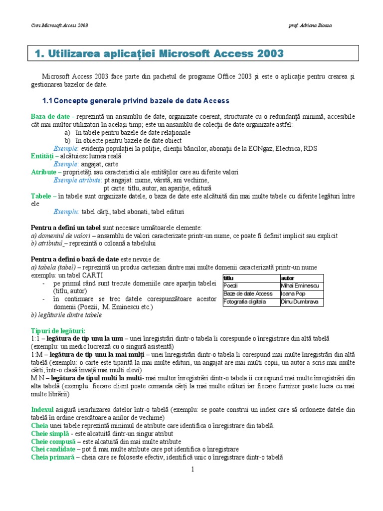 Curs Access 2003 | PDF