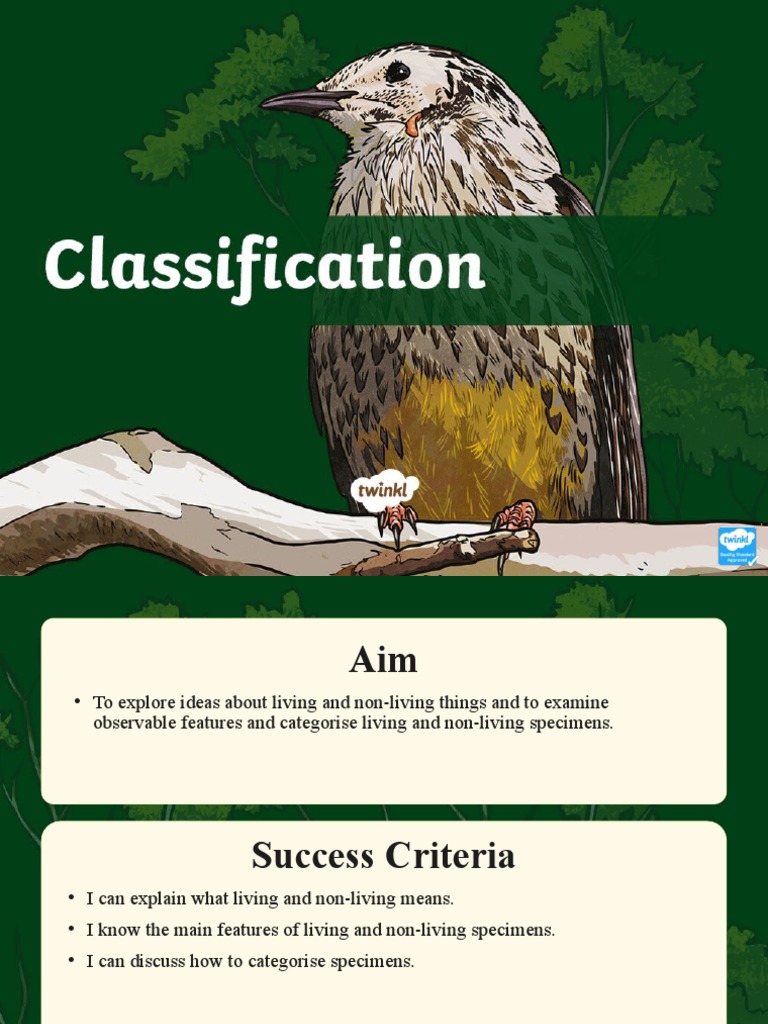 Au t2 S 2548698 Classification Keys Powerpoint Differentiated Lesson ...