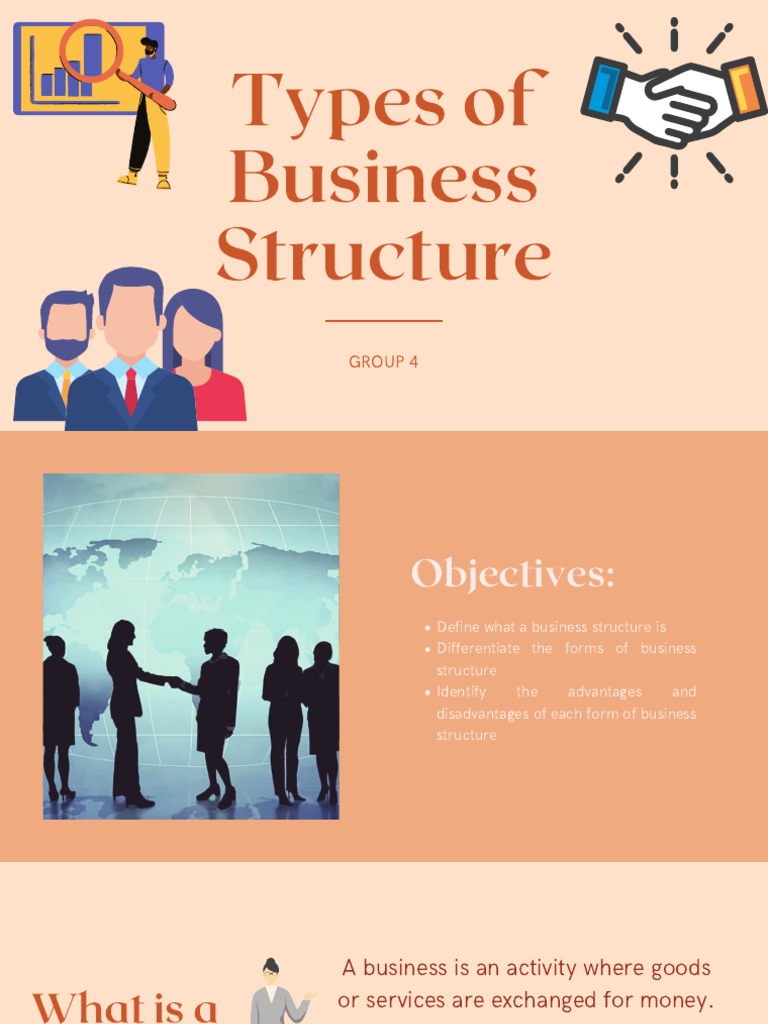 Types of Business Structure | PDF | Corporations | Sole Proprietorship