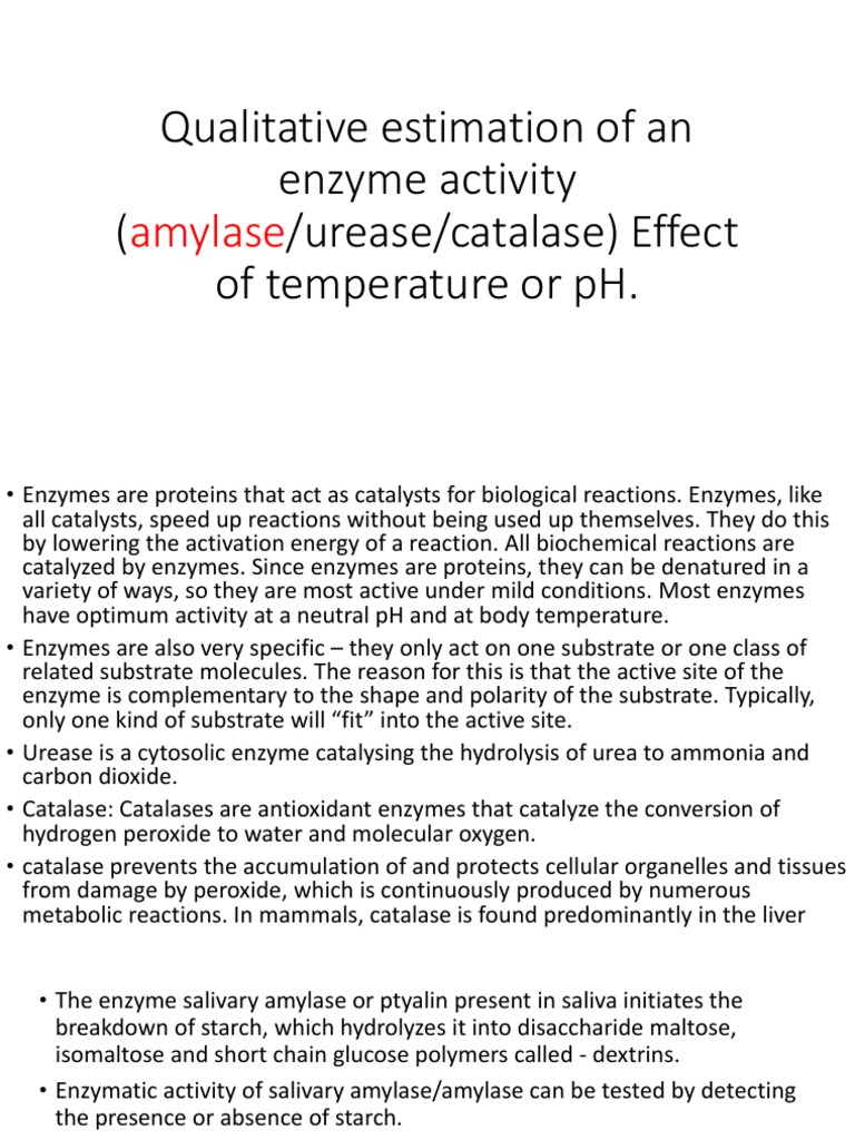 Amylase Activity Test | Download Free PDF | Enzyme | Hydrolysis