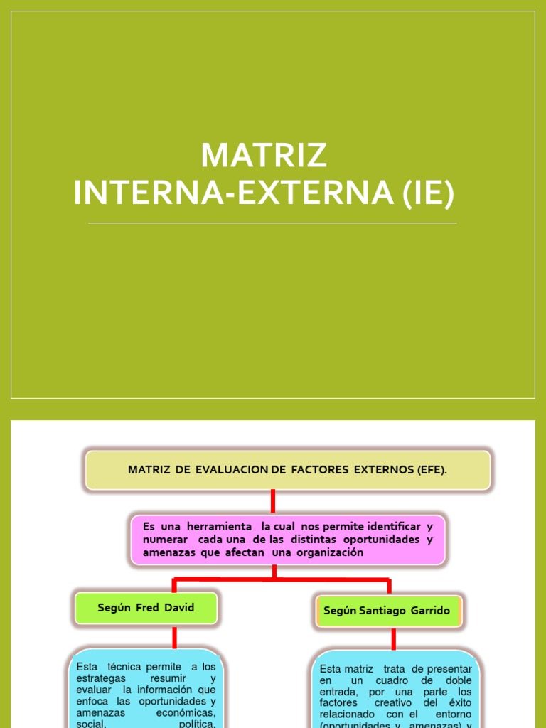 Matriz Interna-Externa (Ie) | PDF | Matriz (Matemáticas) | Business