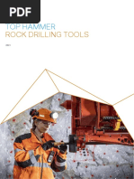 Acinol Grease PN 90002915 | PDF | Toxicity | Allergy