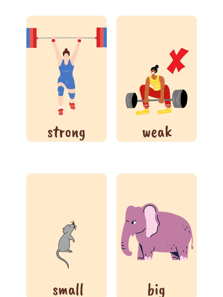 Adjectives Flashcards | PDF