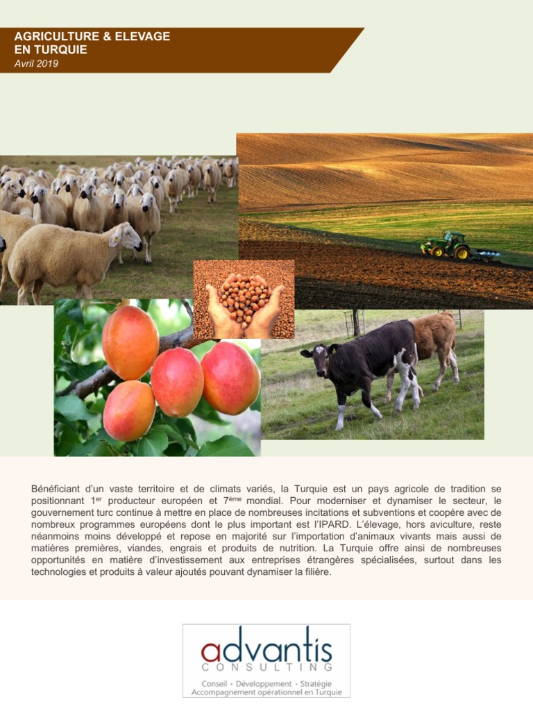 Agriculture Elevagedosyafr 893 | PDF | Agriculture | Viande