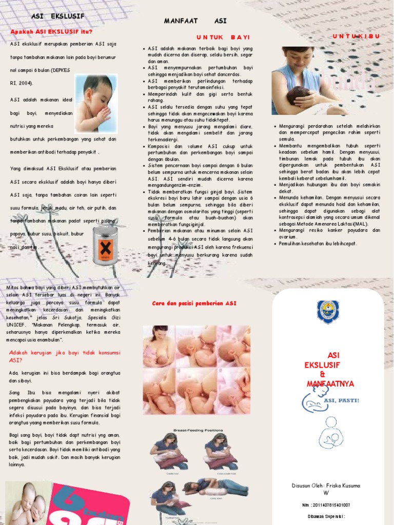 Leaflet Asi Eksklusif | PDF