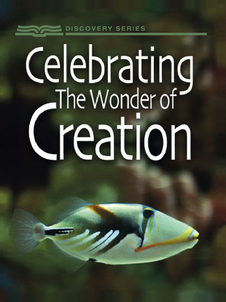 Celebrating the Wonder of Creation | PDF | God | Creator Deity