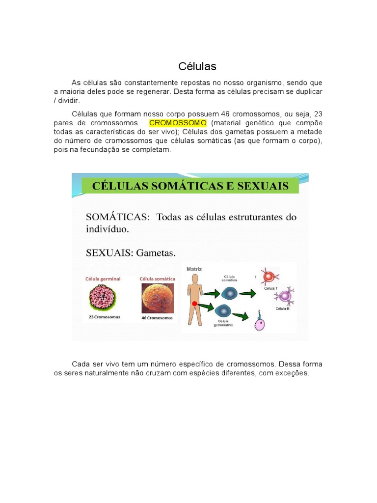 Células 8 Ano | PDF