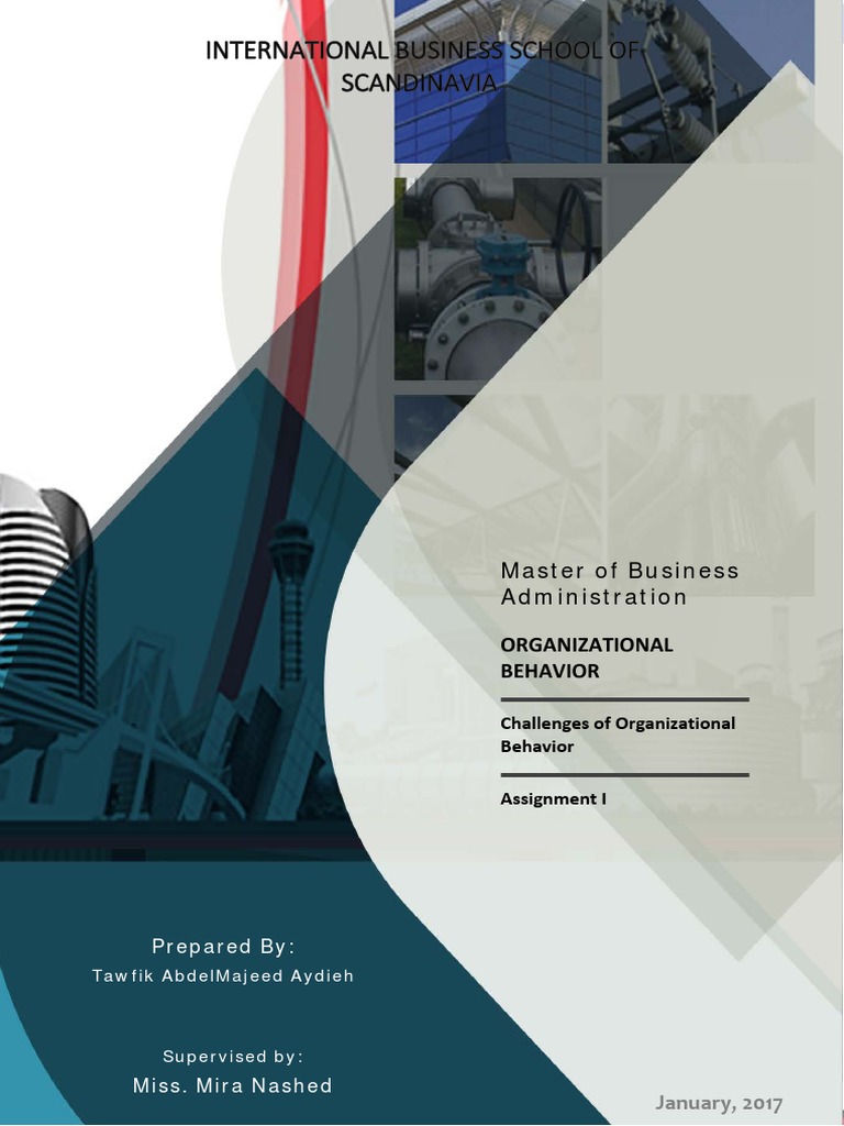 Assignment I - Challenges of Organizational Behavior | PDF | Databases ...
