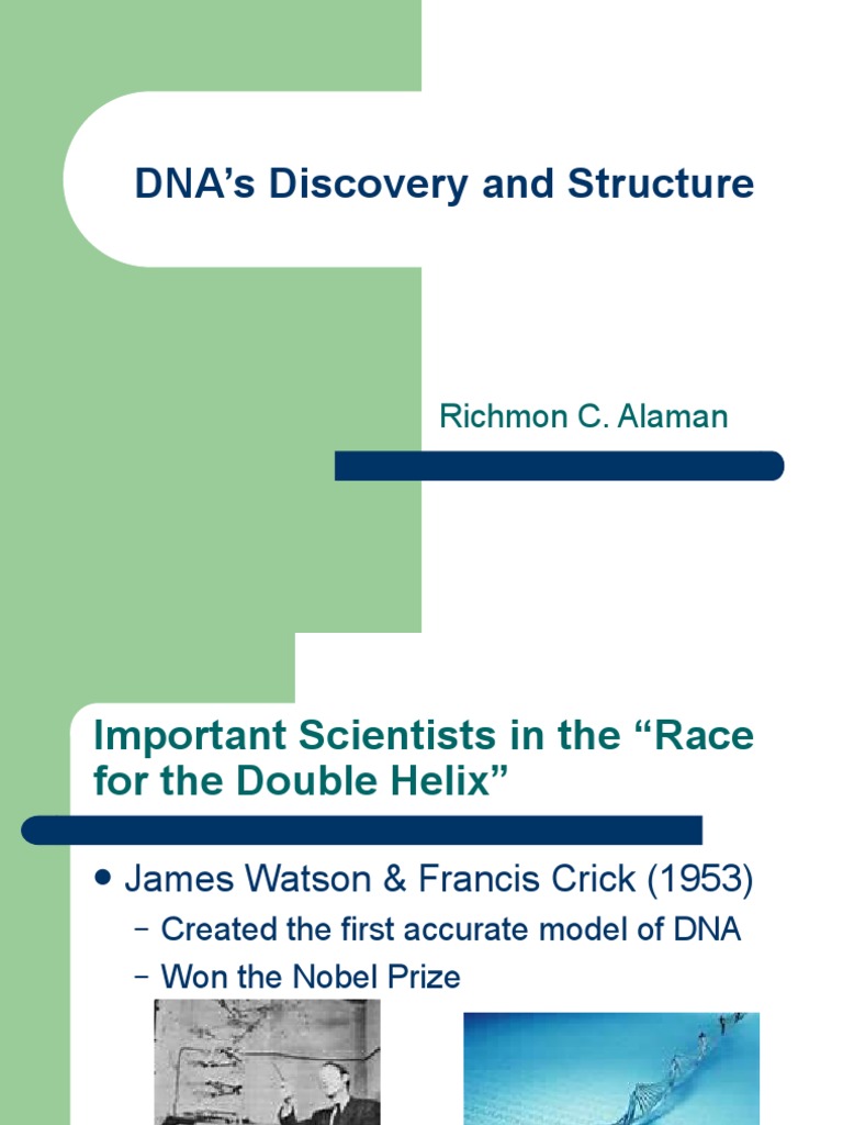 DNA Structure and Discovery Overview | PDF | Science & Mathematics