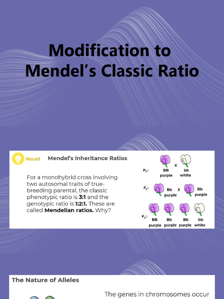 Mendel's Classic Ratio Modification | PDF