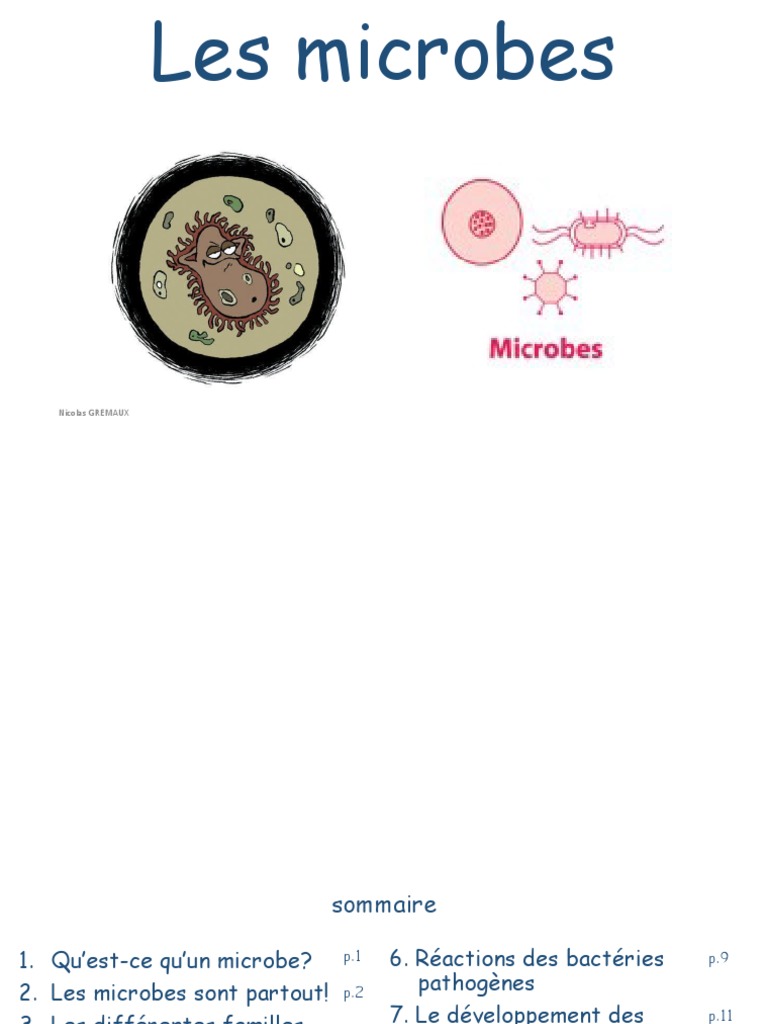 Les Microbes | PDF | Micro-organisme | Fermentation