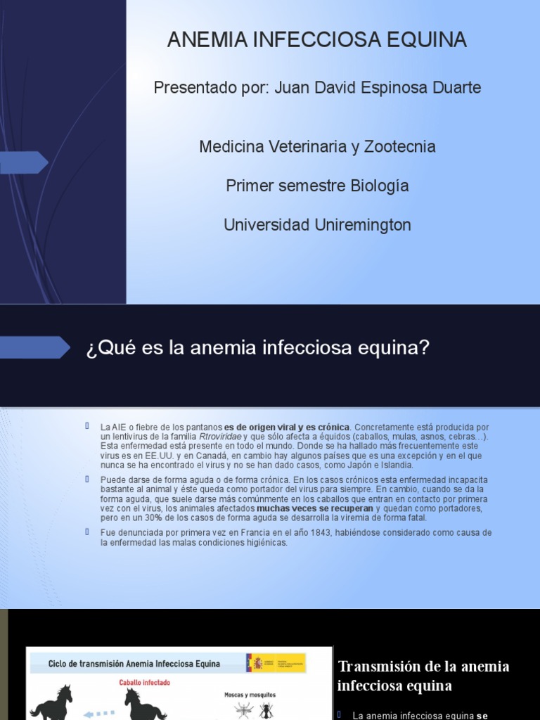 Anemia Infecciosa Equina | PDF | Virus | Infección