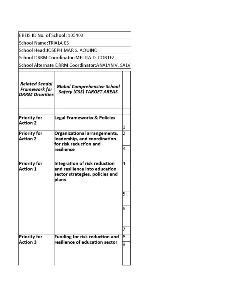 DRRM Checklist | PDF | Disaster Risk Reduction | Emergency Management