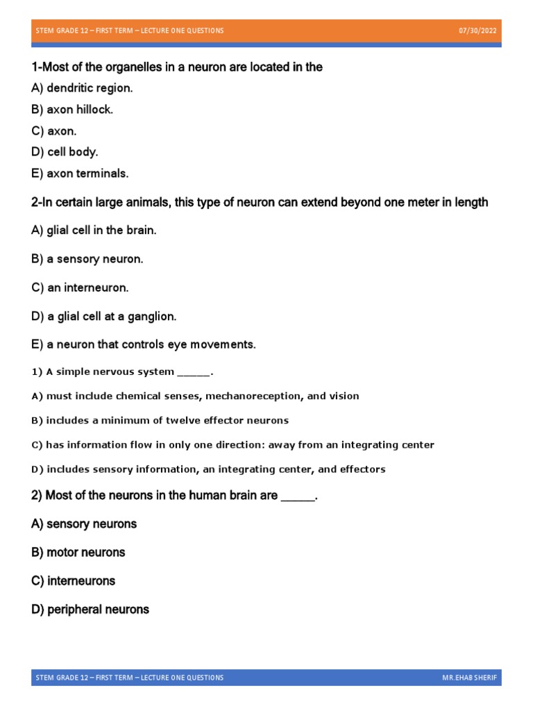 Understanding Neurons: An Analysis of Key Concepts Regarding Neuron ...