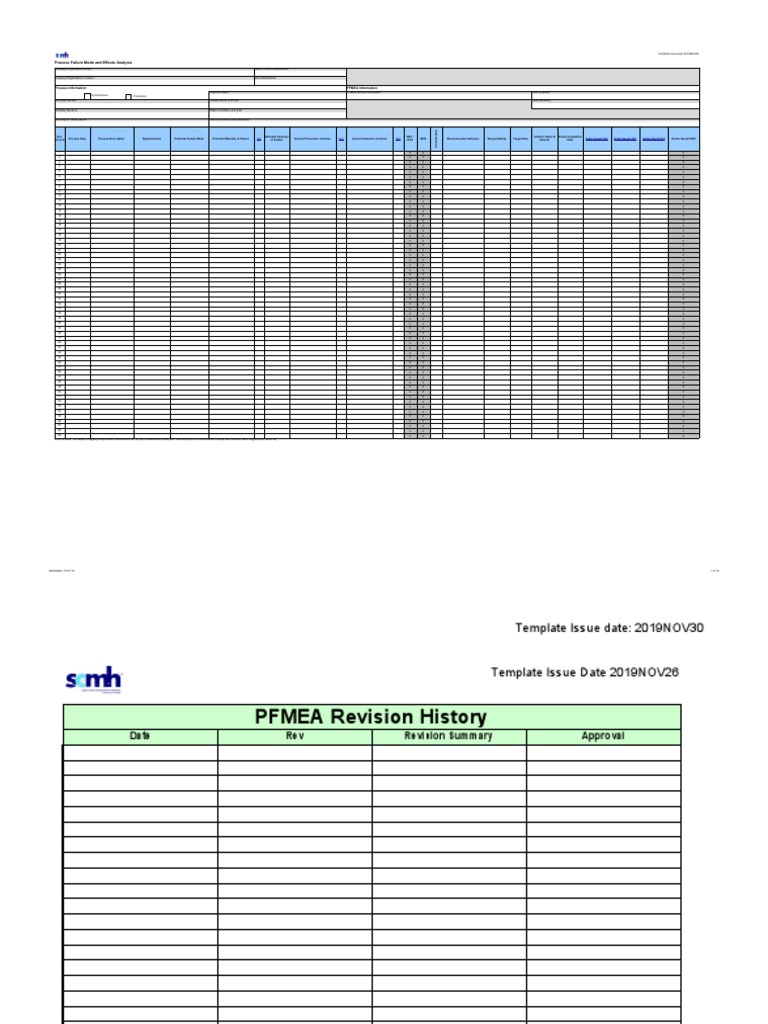 Process Failure Mode and Effects Analysis: SEV OCC DET | PDF