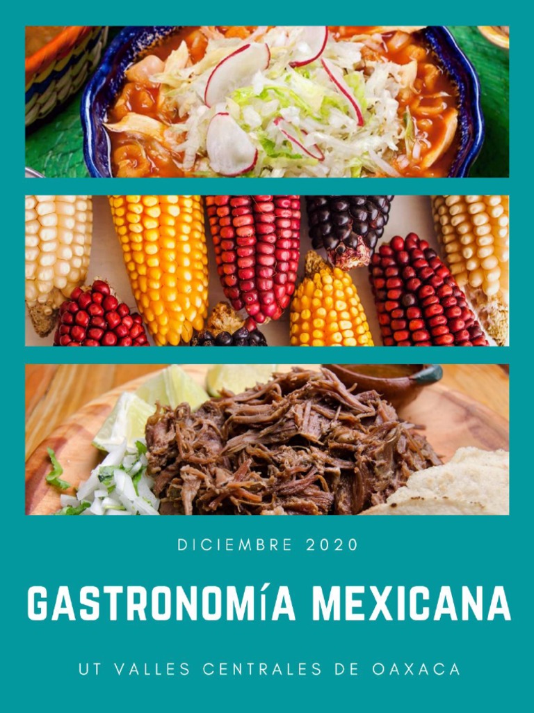 Gastronomia Mexicana | PDF