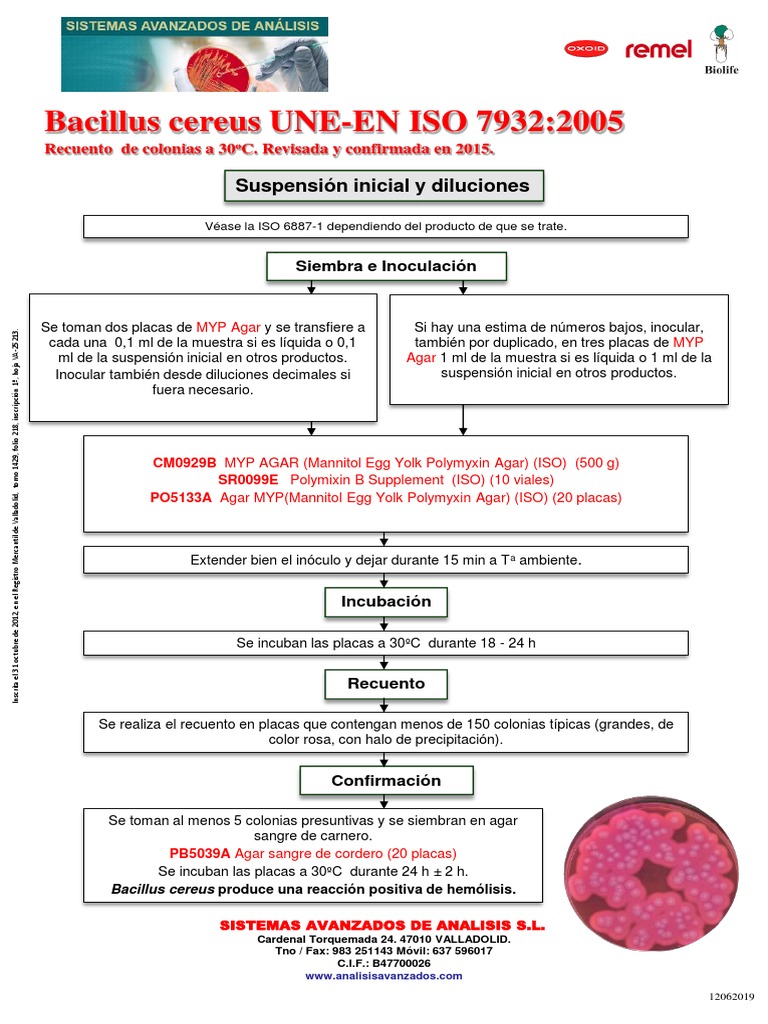 Bacillus Cereus ISO 7932 - 2005 | PDF