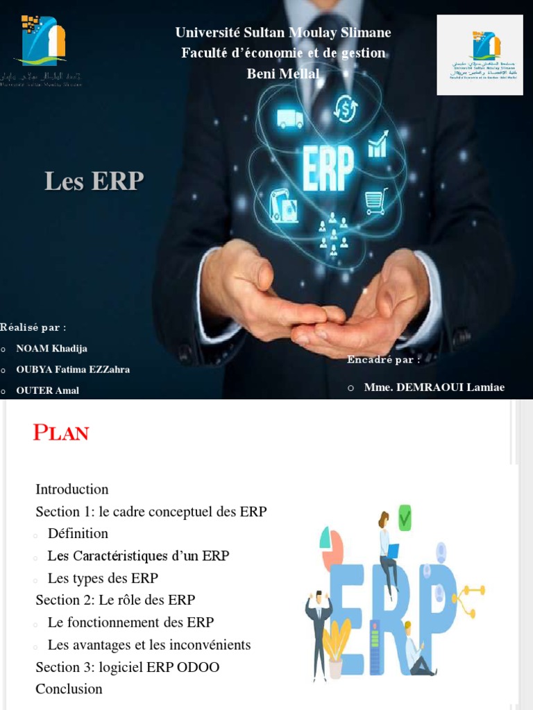 Les Erp | PDF | Progiciel de gestion intégré | Business