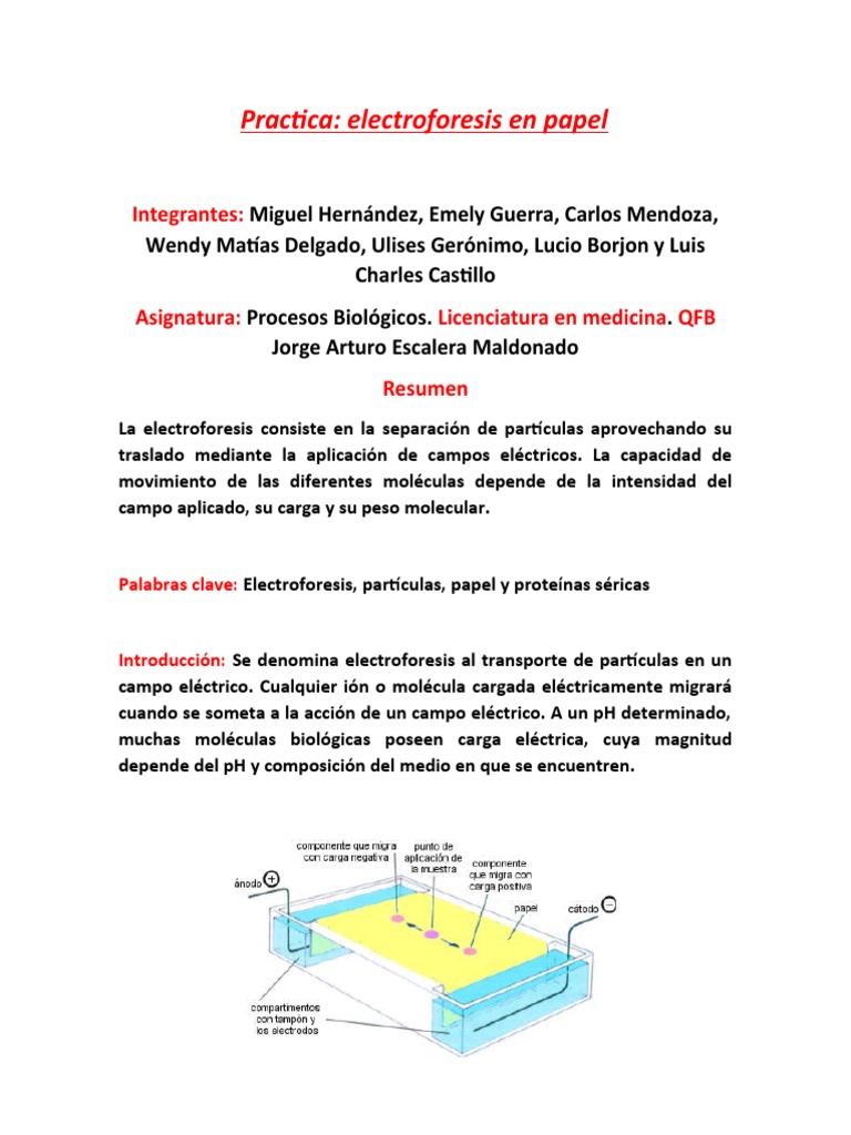 Practica de Electroforesis 3 | PDF | Electroforesis | Química Física