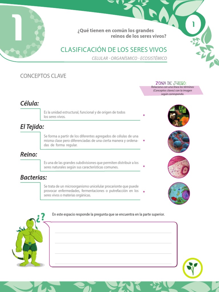 Biología 2015G7B1 QMT Copia 29 | PDF | Algas | Organismos