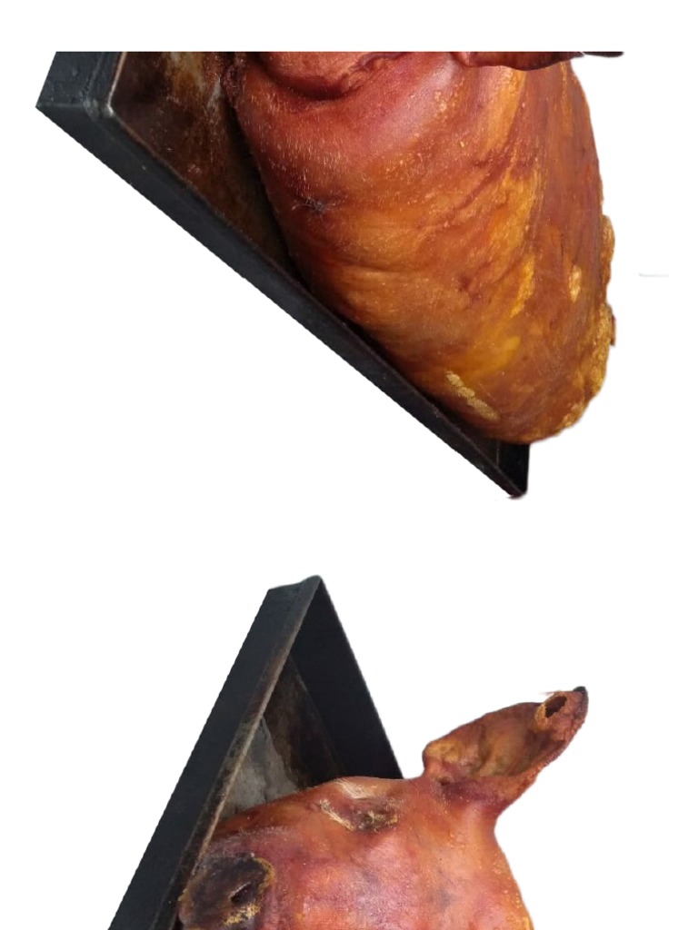 Bandera y Símbolos Del Tolima | PDF