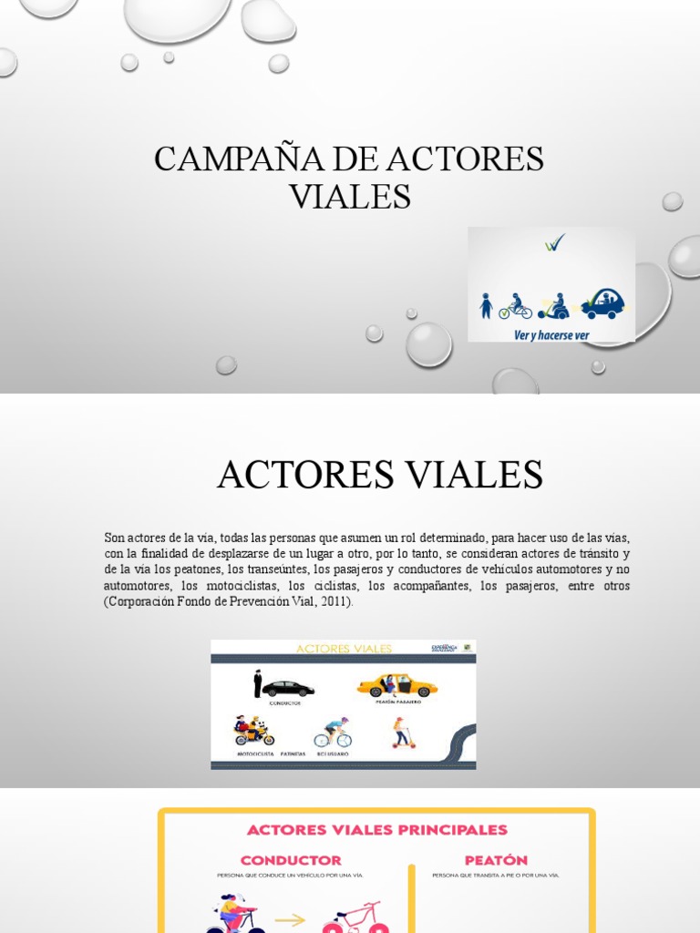 Campaña de Actores Viales | PDF