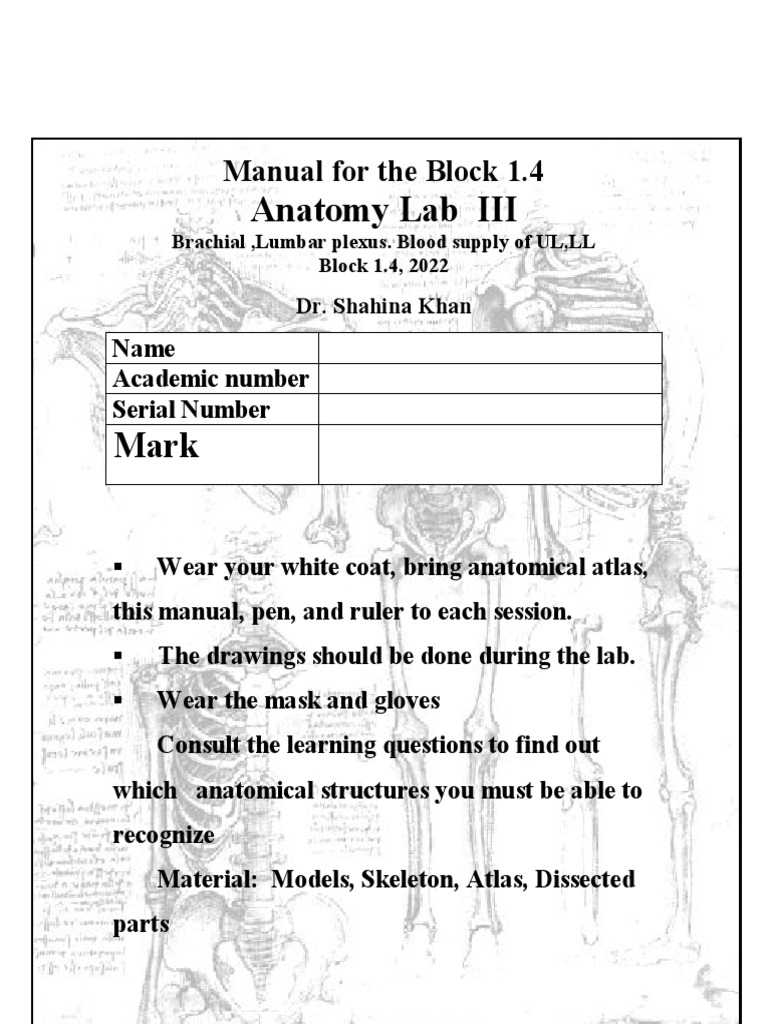 Anatomy Lab III: Manual For The Block 1.4 | PDF