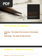Gummy Bear Lab | PDF | Anatomical Terms Of Location | Animal Physiology