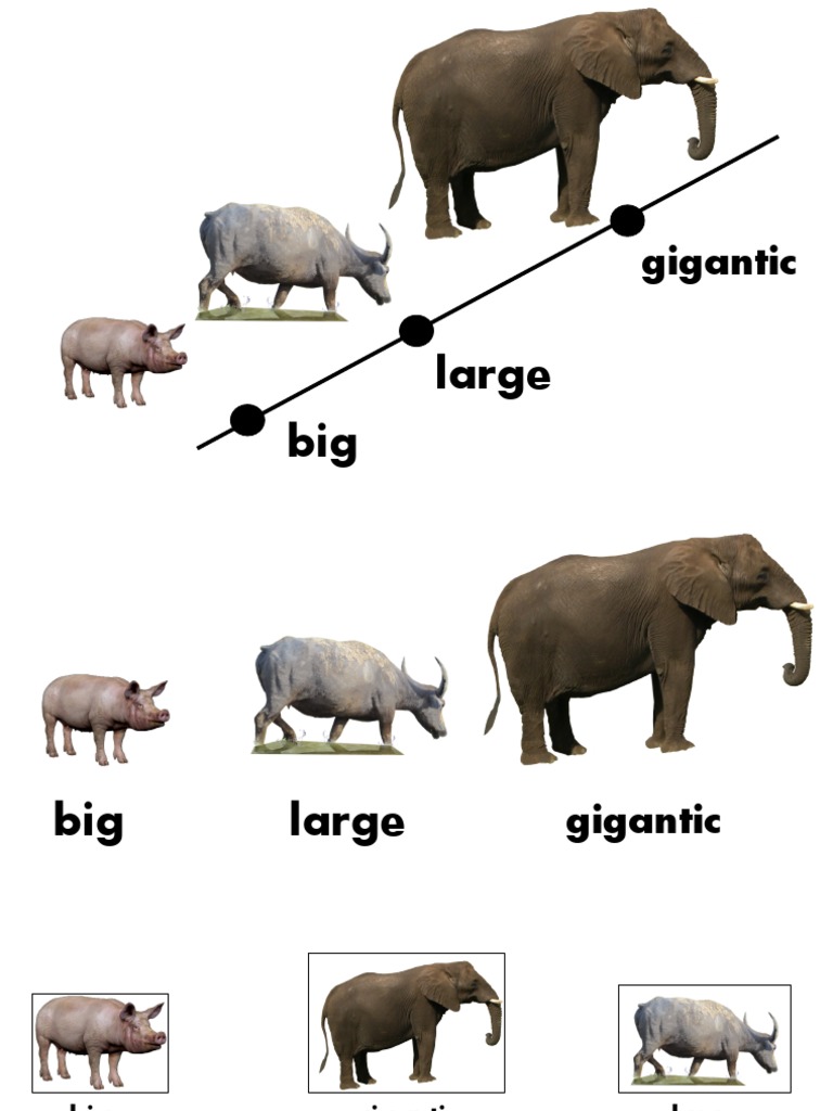 Grade 2 Word Cline Examples | PDF