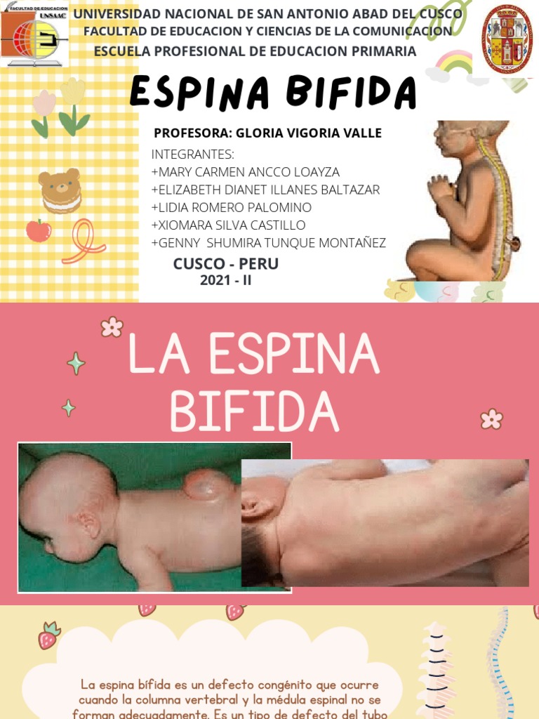 Espina Bifida | PDF | Especialidades Medicas | Medicina CLINICA