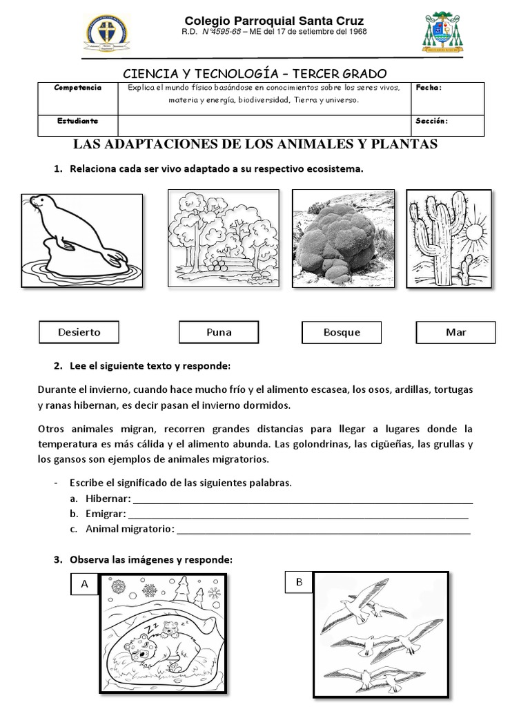 FICHA 3- Adaptaciones de Los Animales y Plantas | PDF | Migración de ...