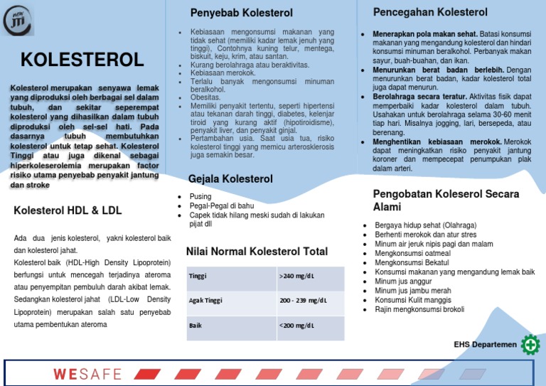 Fix Cholesterol | PDF