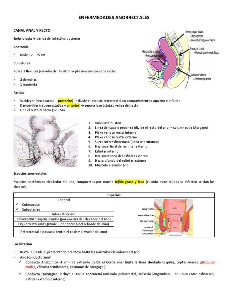 Anatomía y Tratamiento de Abscesos Anorrectales | PDF | Hemorroides | Recto