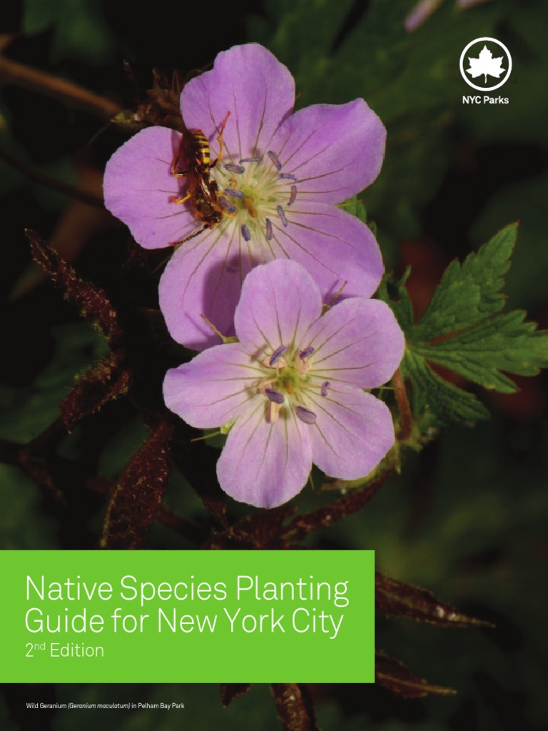 NYC Native Plant Guide for Biodiversity | PDF | Biodiversity | Invasive ...