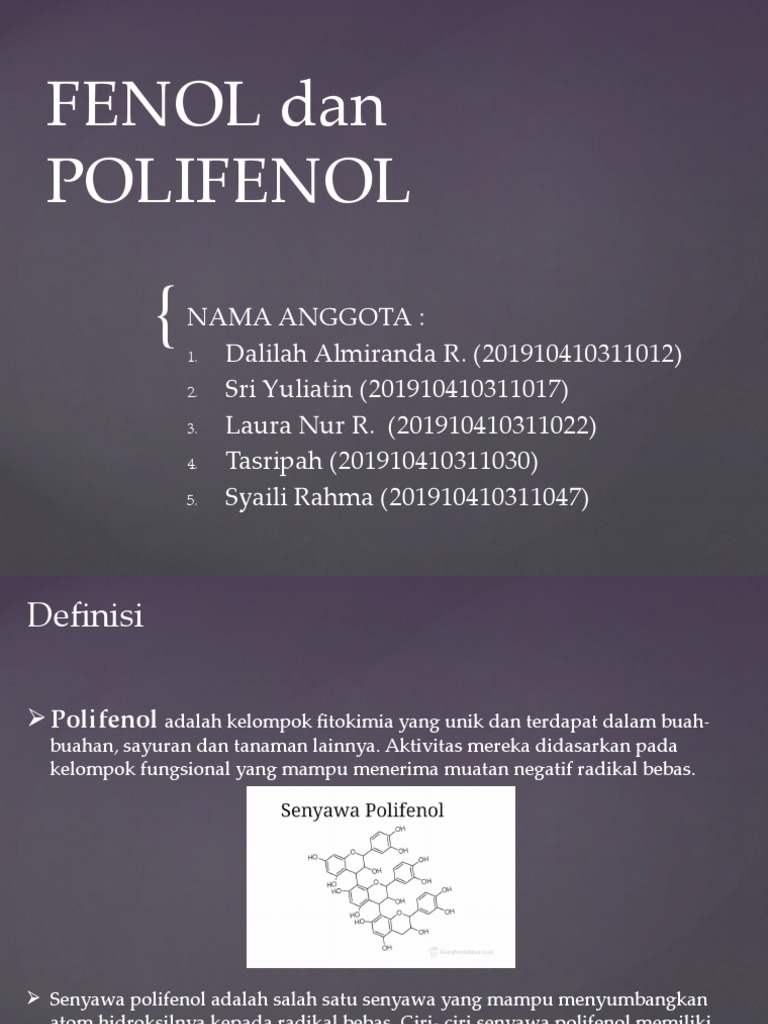 A2 - Fenol Dan Polifenol | PDF
