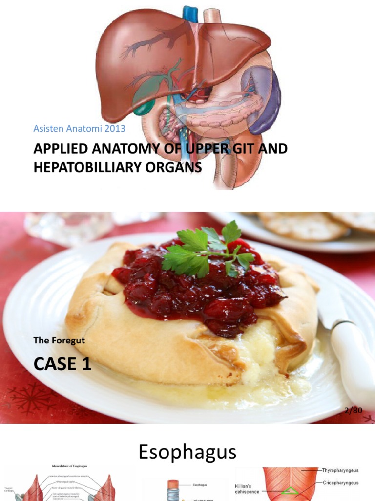 Anatomy Pract Session I - Applied Anatomy of Upper GIT and ...