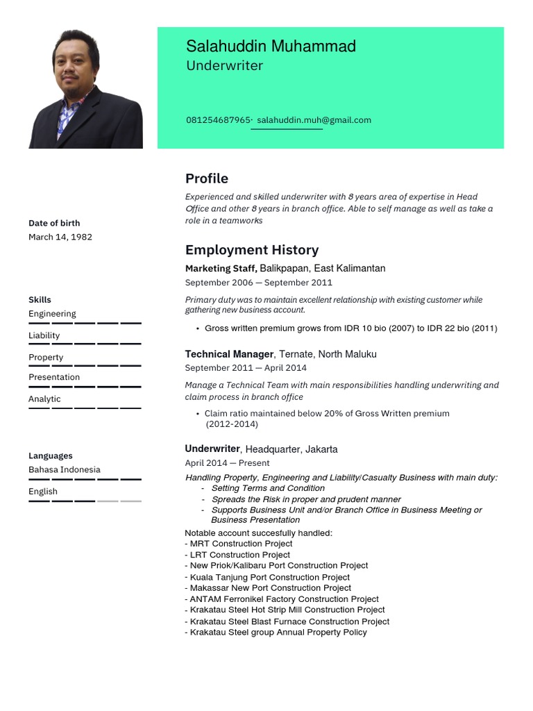 CV - Salahuddin Muhammad | PDF | Insurance | Underwriting