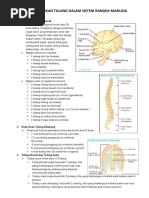 Anatomi Rangka Aksial Dan Apendikular | PDF