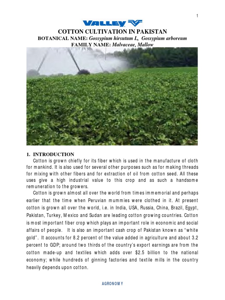 Cotton Cultivation in Pakistan | PDF | Cotton | Sowing