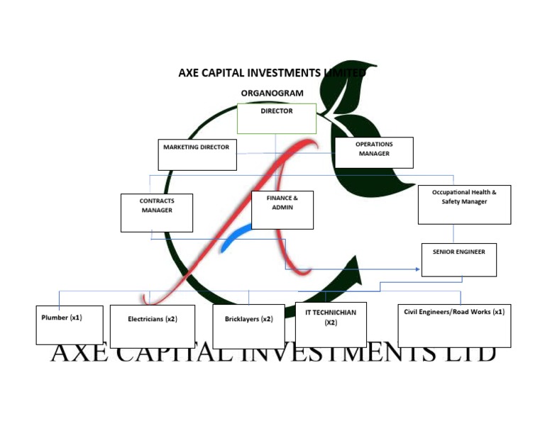 Axe Capital Investments Limited: Organogram | PDF