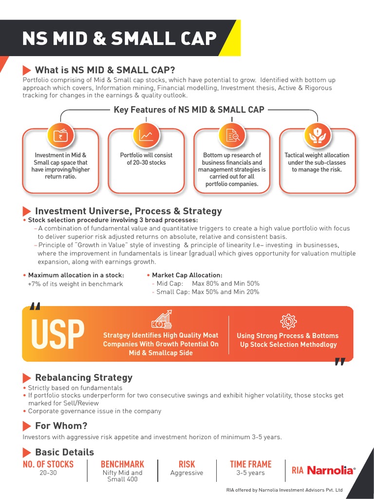 What Is Ns Mid & Small Cap? | PDF | Investing | Stocks