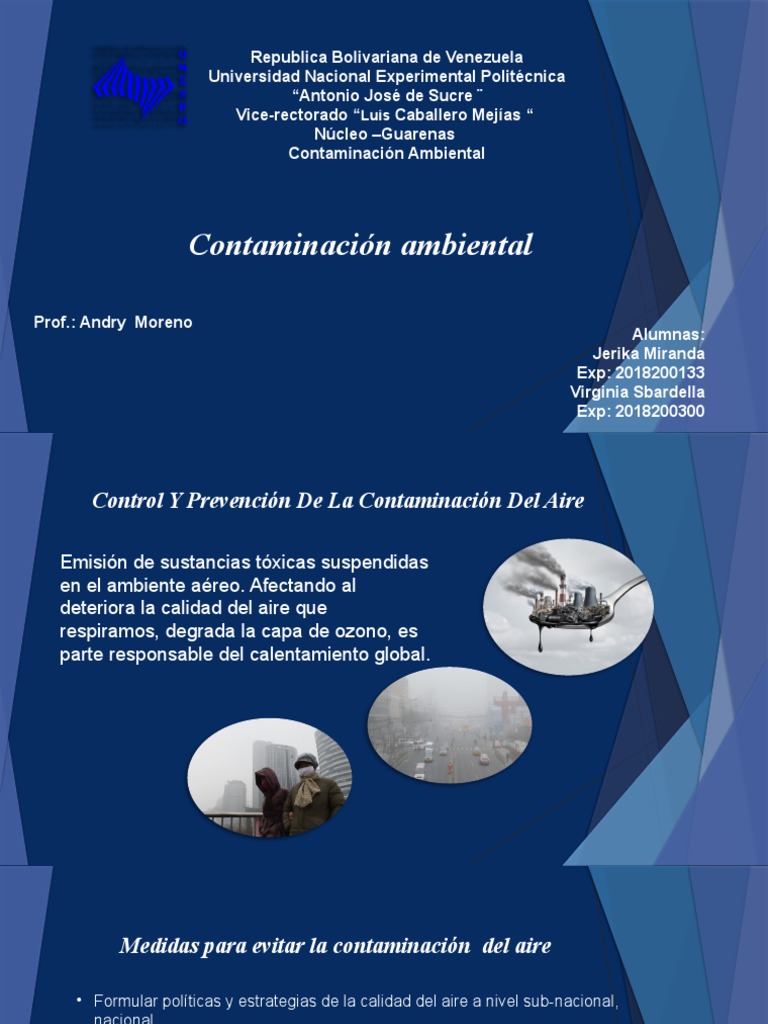 Control de Contaminación Ambiental Infantil | PDF | Contaminación ...
