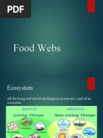 Daintree Rainforest Food Web Overview | PDF