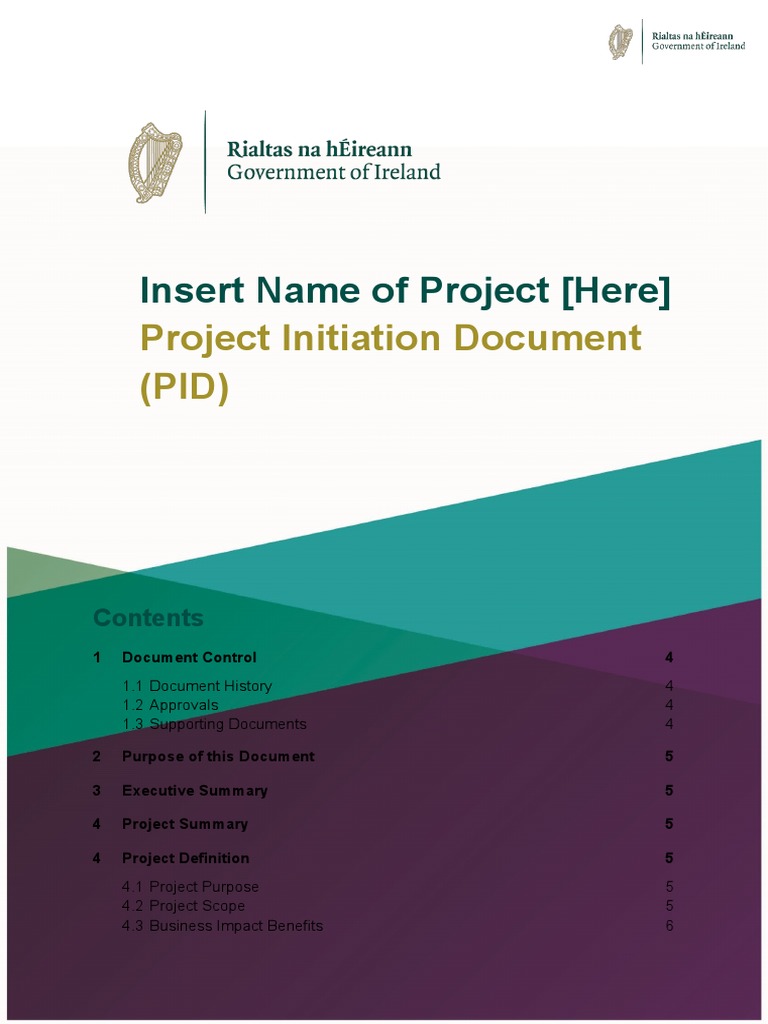 Insert Name of Project (Here) : Project Initiation Document (PID) | PDF | Risk | Governance