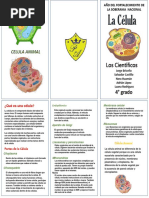 Taller de Células para Sexto Grado | PDF | Biología Celular) | Zoología