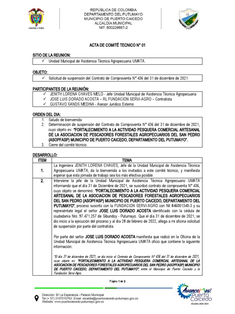 Acta Comité Técnico | PDF