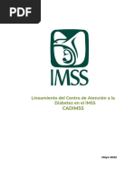 Instructivo Llenado Formato RAIS IMSS | PDF | Dietético | Medicina Familiar