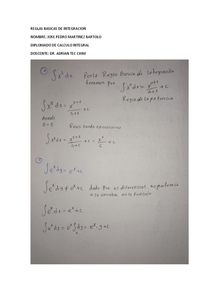 Reglas Basicas de Integracion | PDF