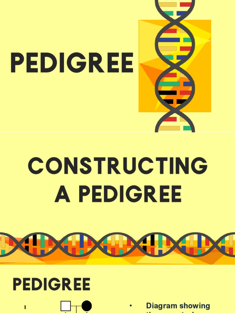 2.4 Constructing Pedigrees | PDF | Genetics | The Simpsons